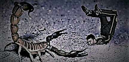 Scorpion Face Plant by AtomEve | Loudly