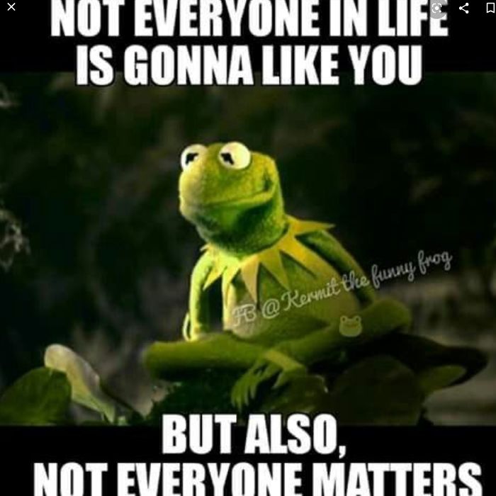 Kermit The Frog Quotes Funny